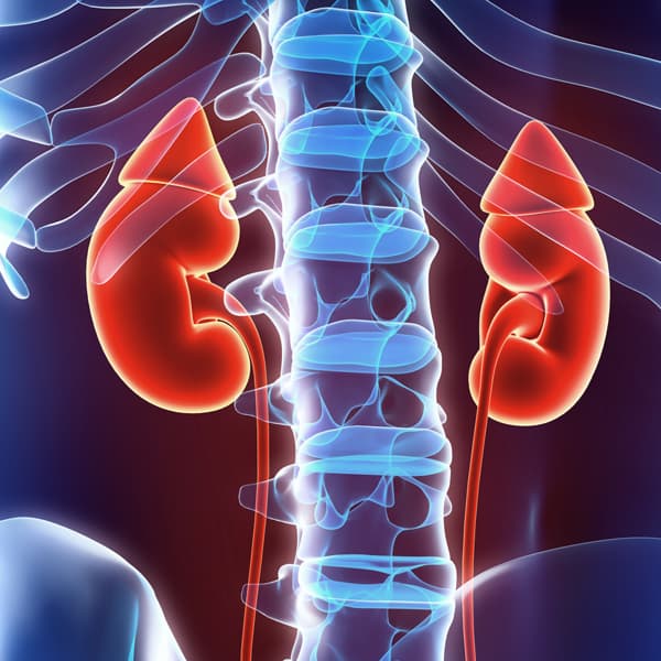 Clinical Trials | Waterbury, CT | Chase Medical Research